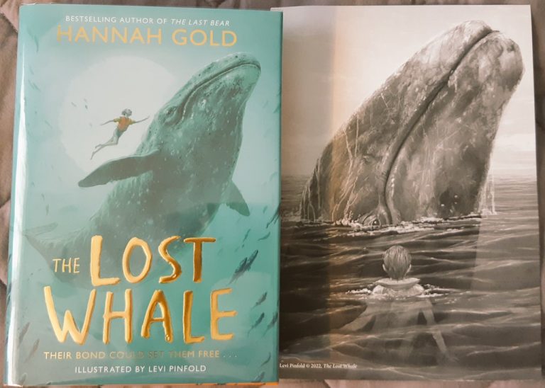The Lost Whale by Hannah Gold - Review - Ryan Mizzen