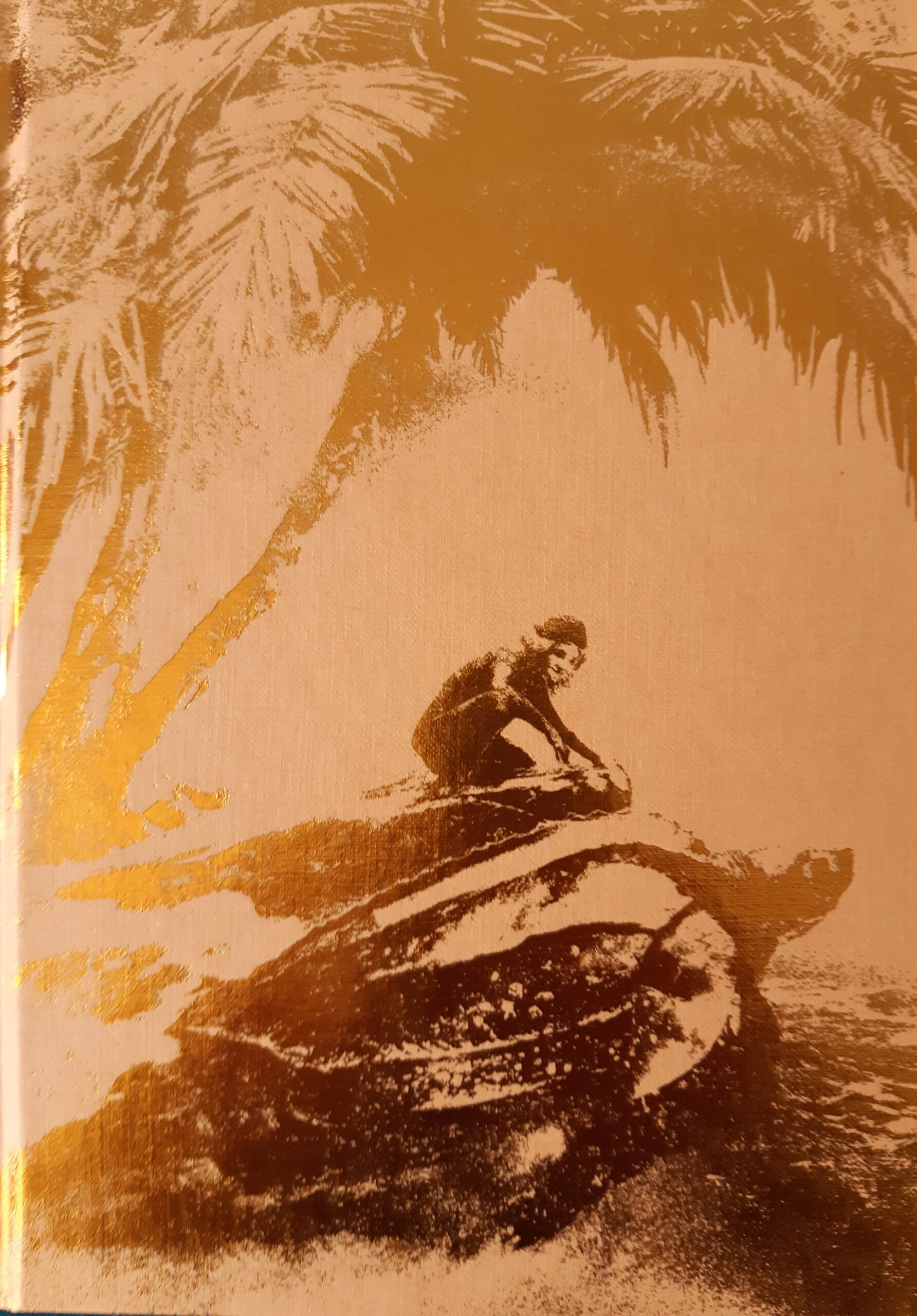 Turtle Moon by Hannah Gold – Review - Ryan Mizzen